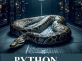Mastering Python Secure Coding Writing Resilient And Safe Code