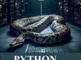 Mastering Python Secure Coding Writing Resilient And Safe Code