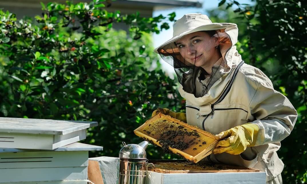 Beekeeping Course – The Animal Care