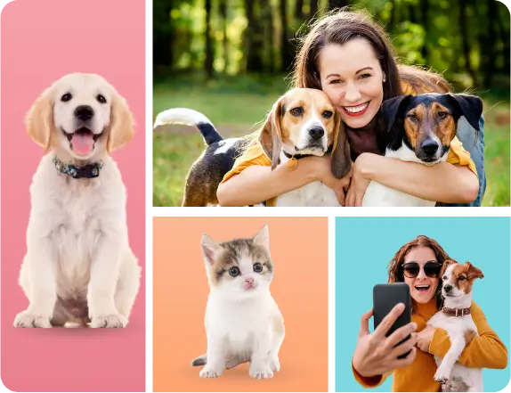 Professional CPD Accredited Animal Care Courses – The Animal Care