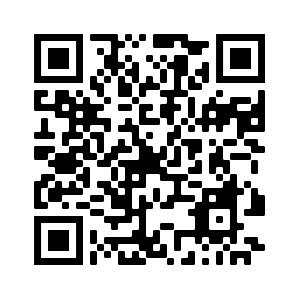 RISE Brochure QR Code | The Arc Allegany-Steuben