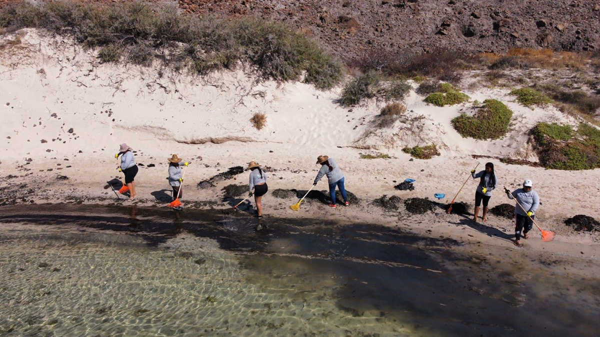 Eco-disaster caused by a yacht caught on fire on Playa El Hongo waters ...