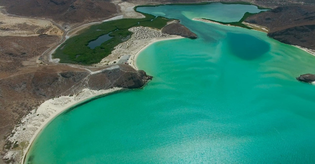 Superficial Reporte De SEMARNAT Sobre Impacto Ambiental Del Yate ...