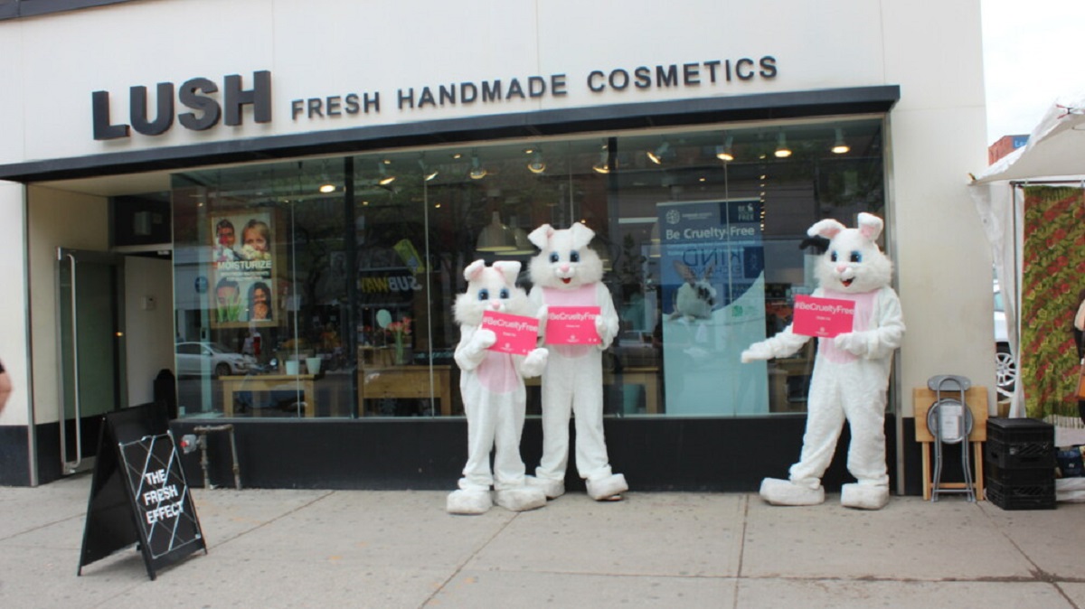 Lush Celebrates Canada Cosmetics Animal Testing Ban - THE BAJAPOST
