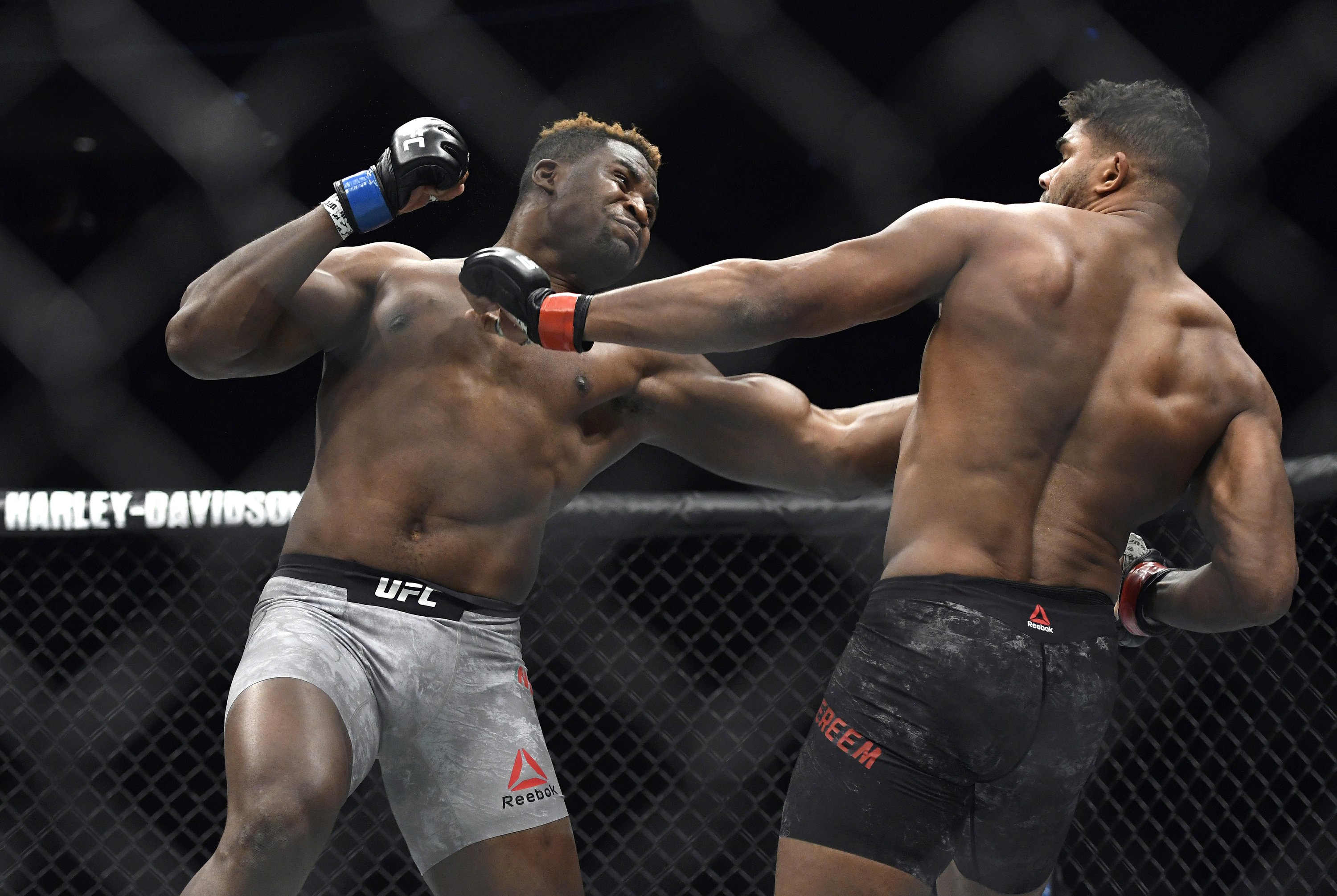 African takeover: Africa has three world champions in the UFC right now