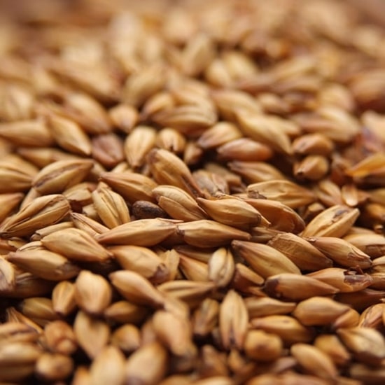 Crisp® Dark Munich Malt (45 EBC) - The Brew House