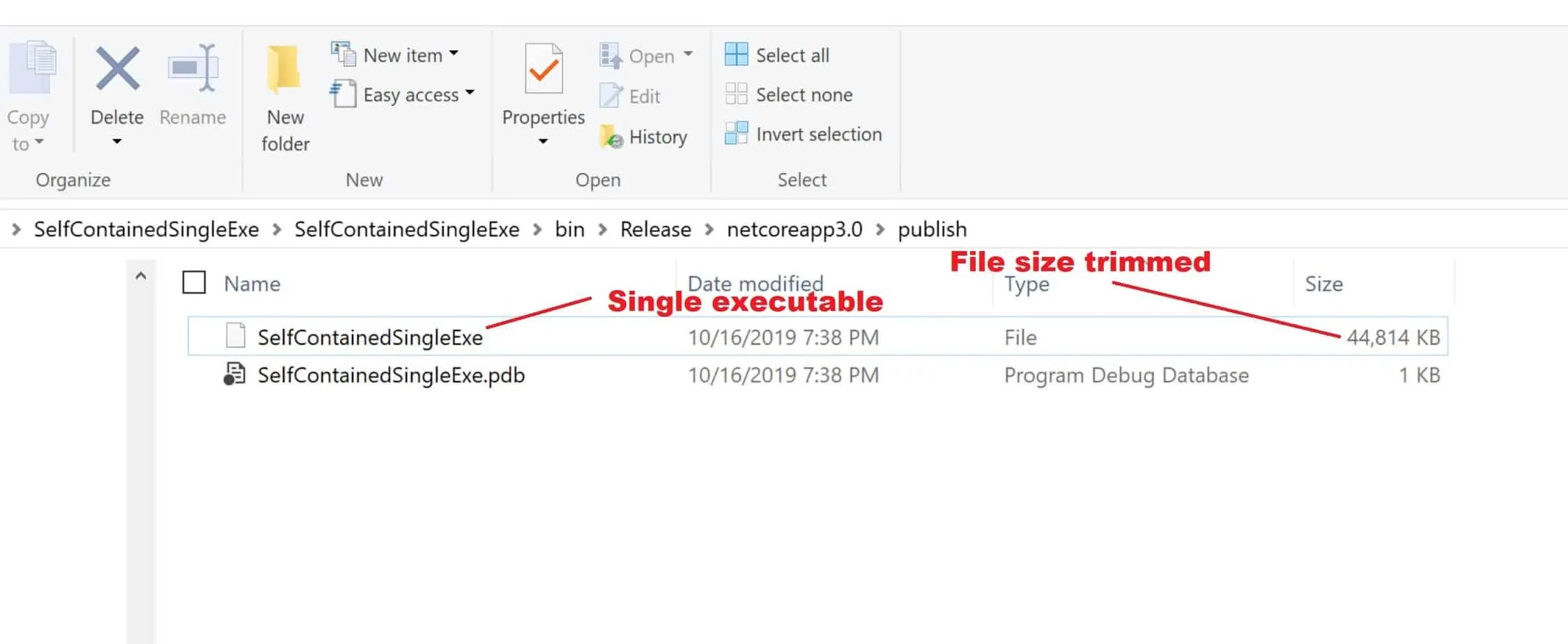 Create Self Contained Single Executable (EXE) in .NET Core