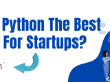 Why Is Python The Best Choice For Startups Thecodework