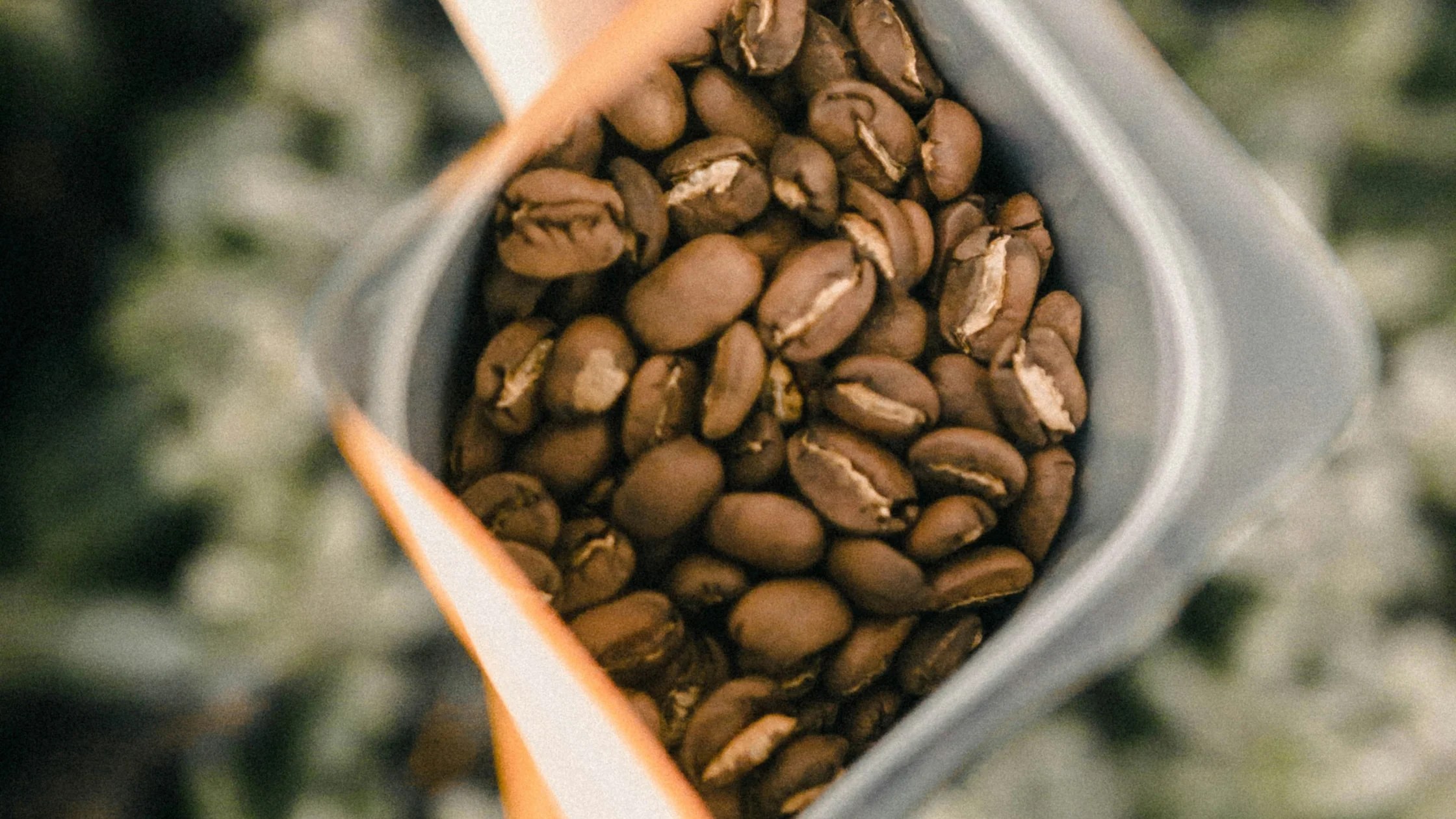 Decoding Coffee Labels The Coffee Farmer S Co Op