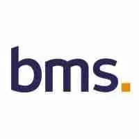 Inclusive leadership and speaking up: BMS Group - The Communication ...