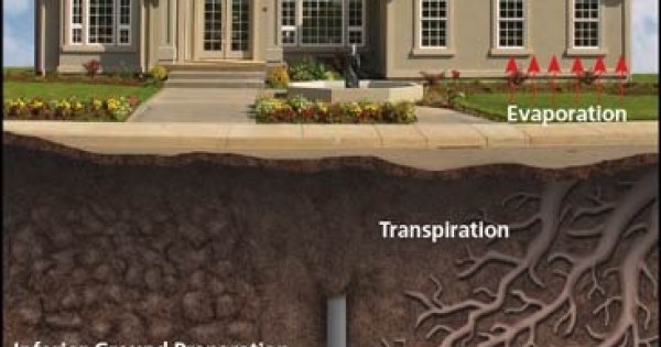 What are Causes for Foundation Failure in Buildings?