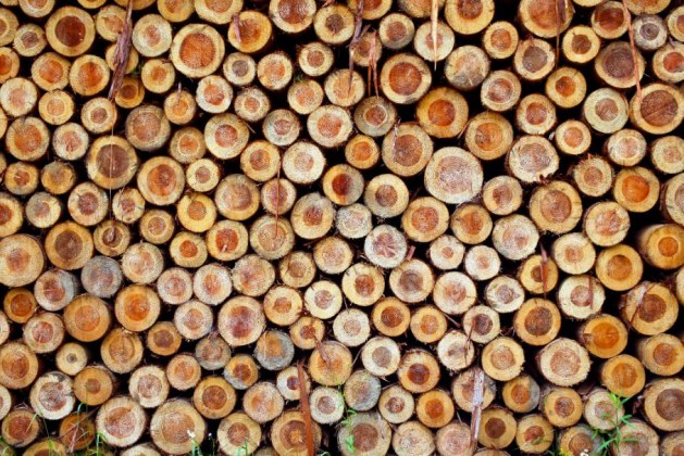 good timber – theconstructor.org