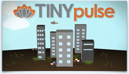 Could something called TINYPulse save the idea of performance ...