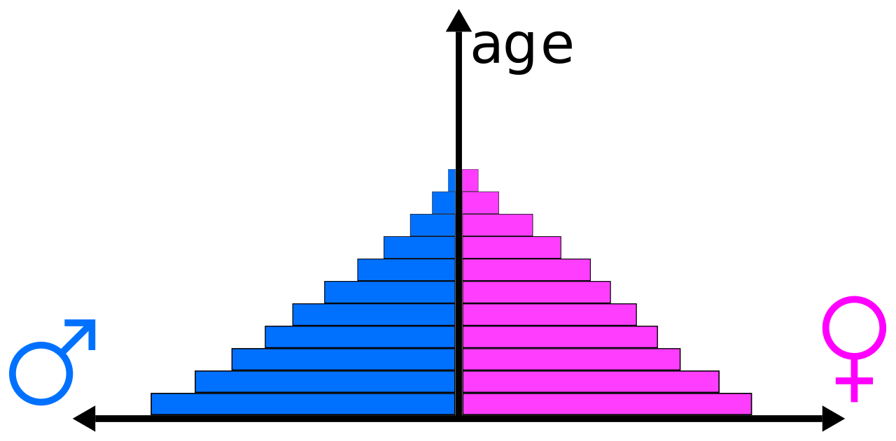 Demographic Shifts The Population Pyramid Is Over What Does That Mean demographic-shifts-the-population-pyramid-is-over-what-does-that-mean