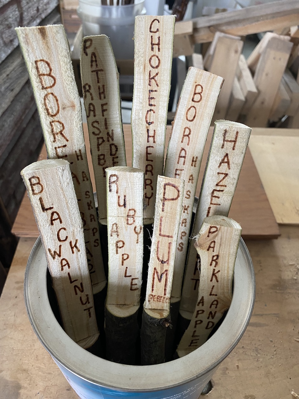 Unique and Rustic Garden Markers – The Craftiest Workshop