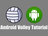 Android Volley Tutorial With Example