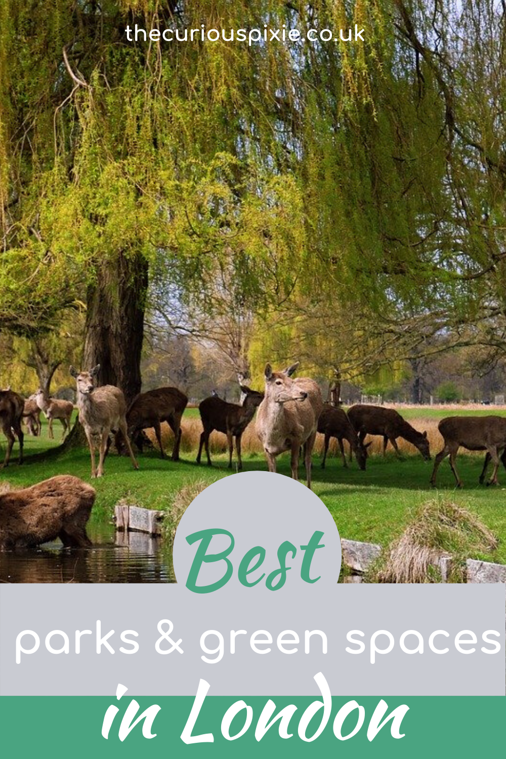 Best Parks and Green Spaces in London - the Curious Pixie