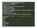 Bulk Delete Openstack Object Storage Swift Objects