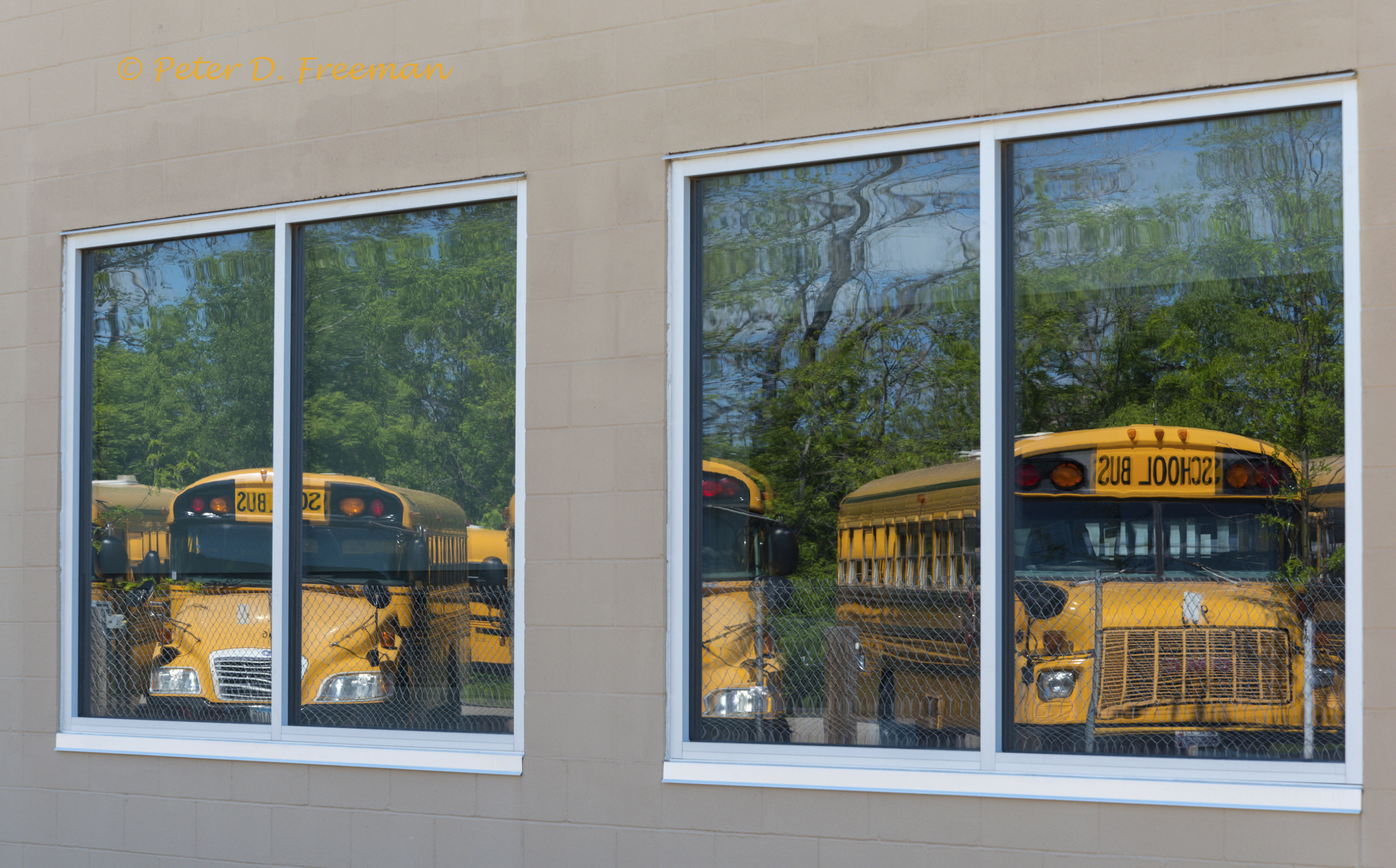 Bus Reflection - The Elemental Eye | Peter Freeman