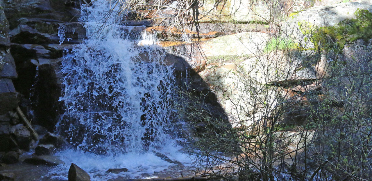 Uppler Maxwell Falls Hike - Evergren Colorado
