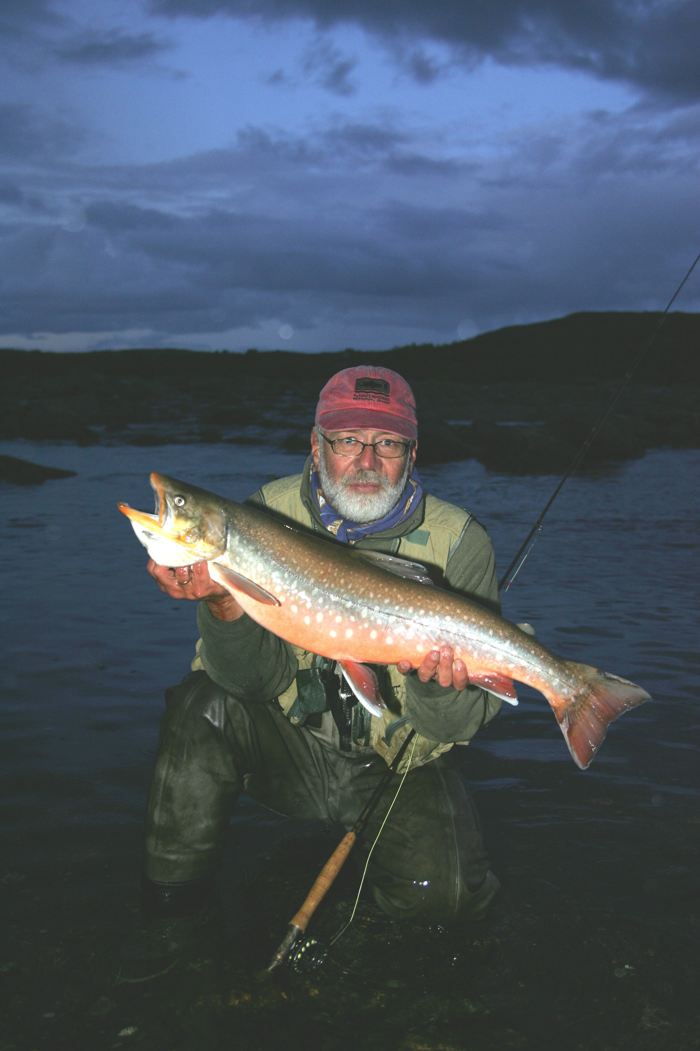 Small flies big fish Arctic Char
