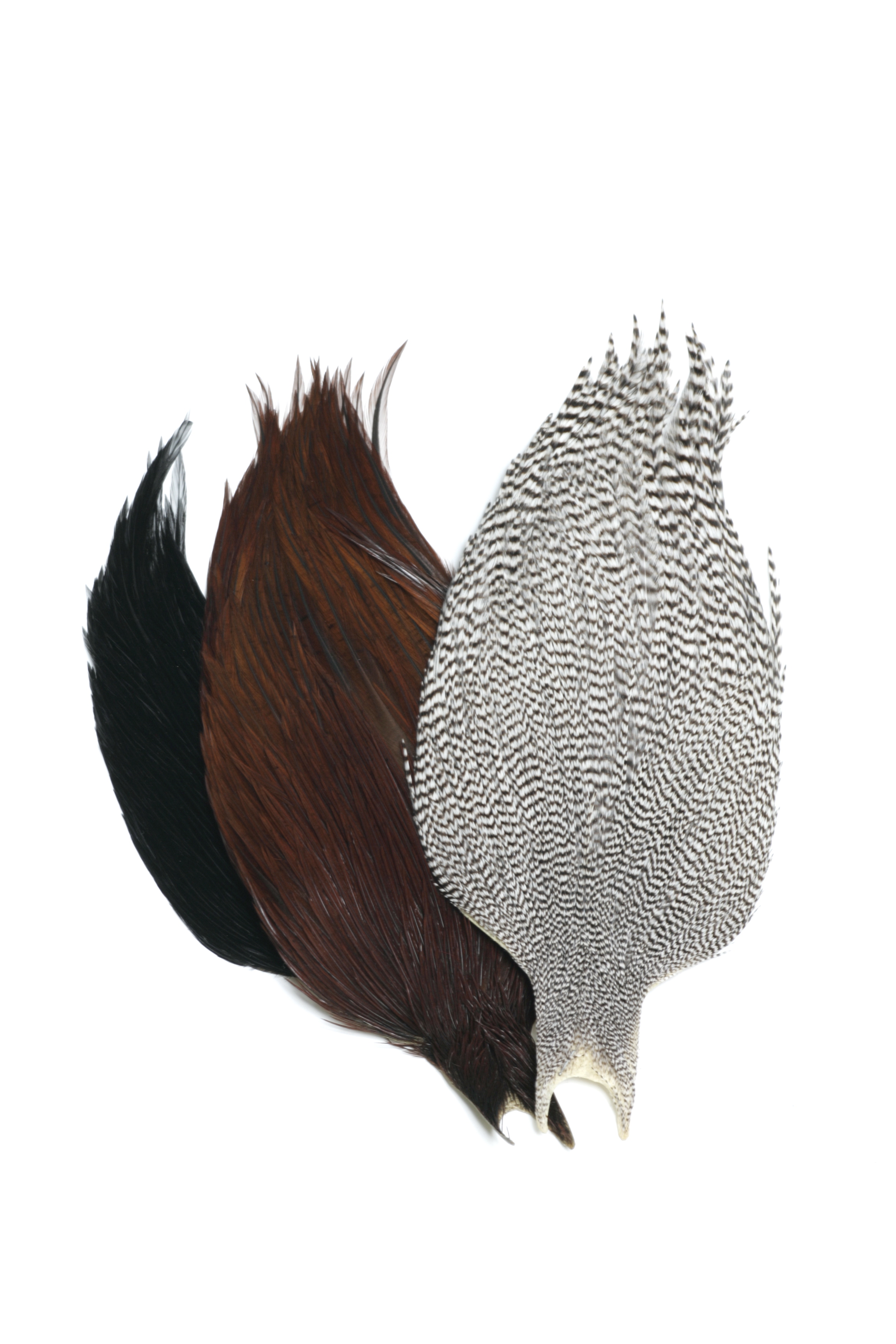 Thread and Whip finish