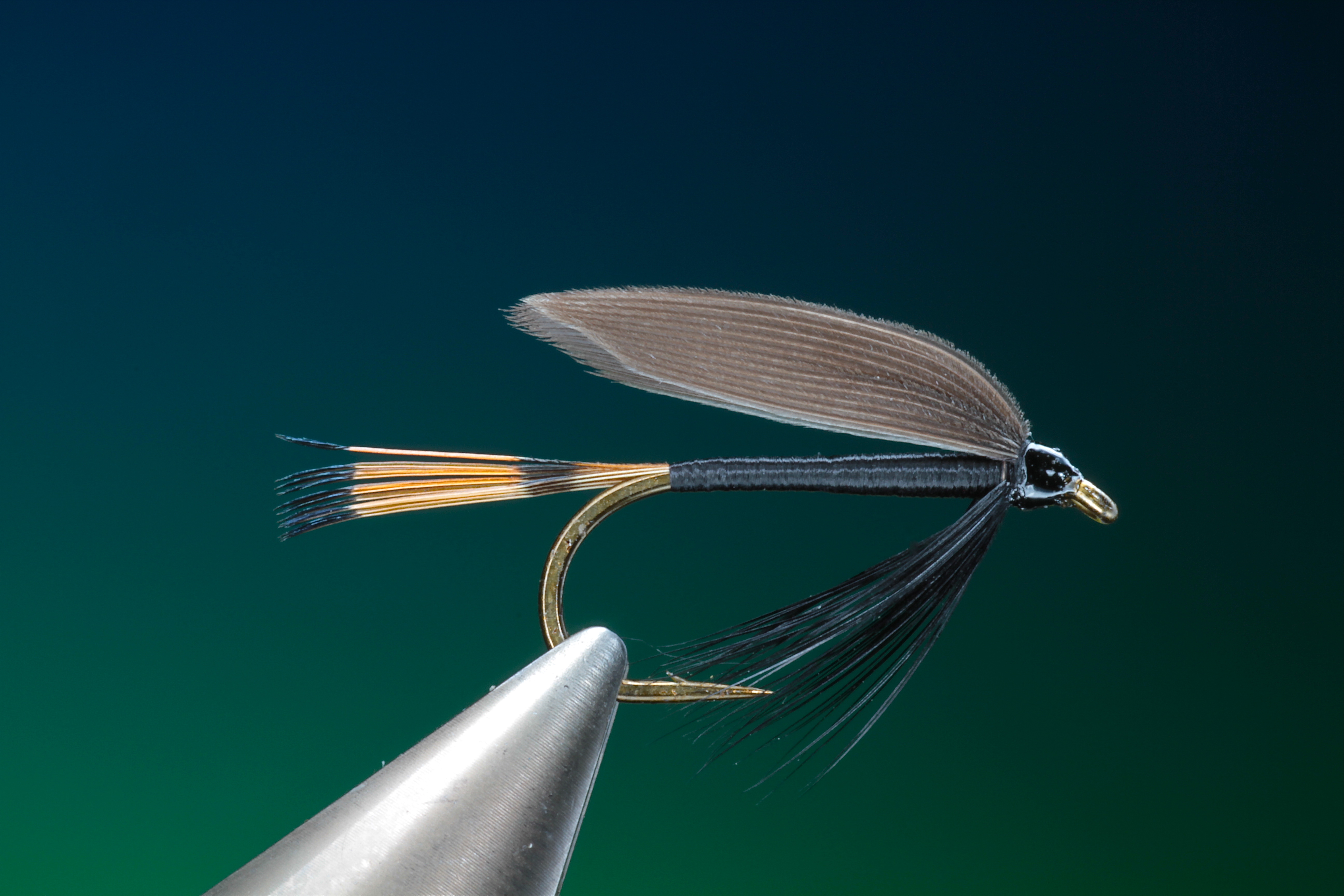 Black Pennell wet fly