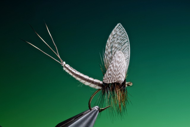 Extended mayfly body pattern