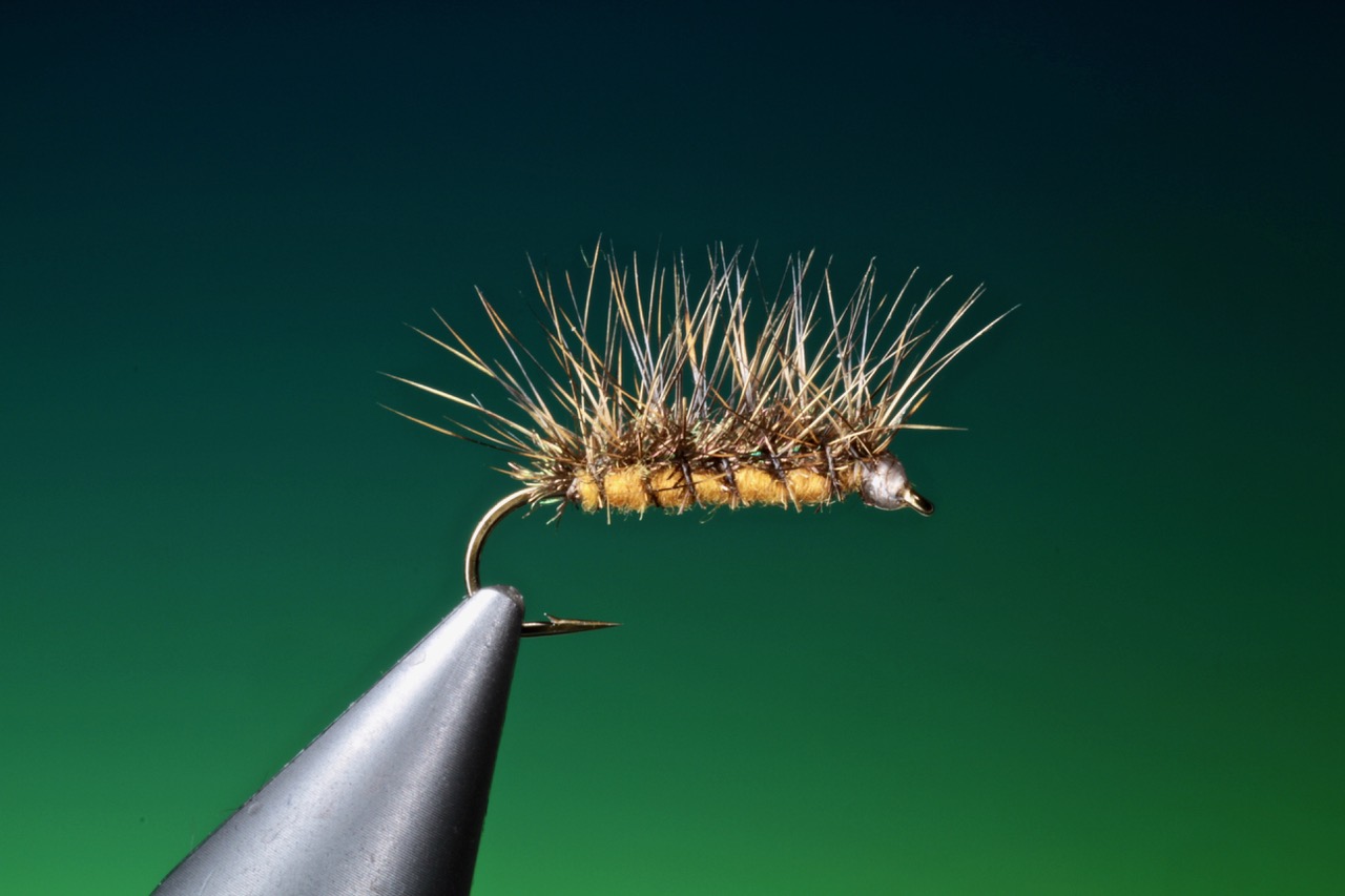 The Crackleback attractor pattern