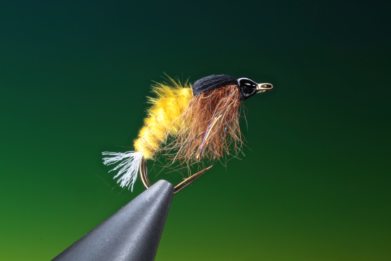 Simple Caddis/Sedge pupa