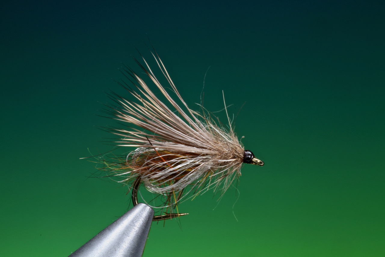 Deep sparkle pupa variant