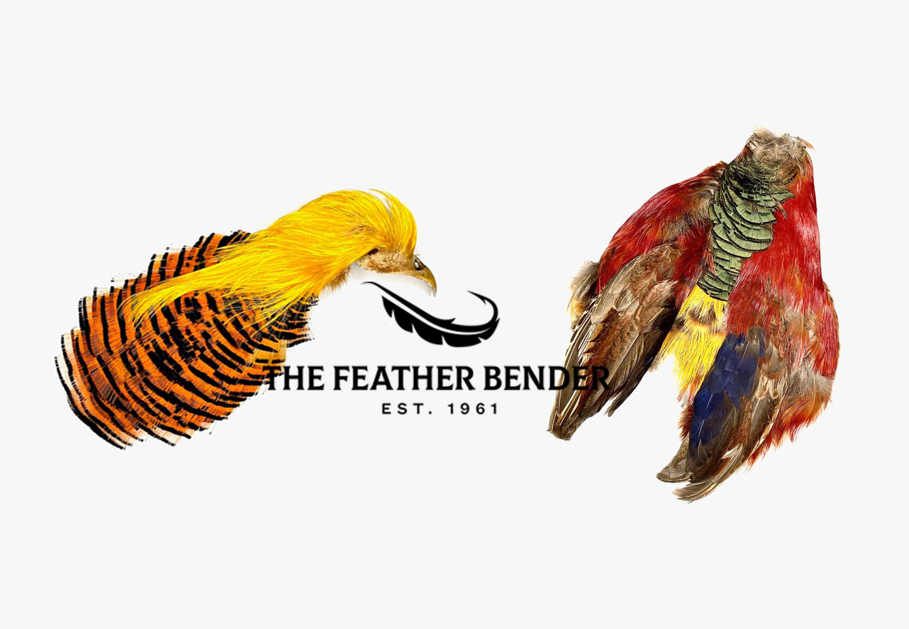 Golden pheasant feathers