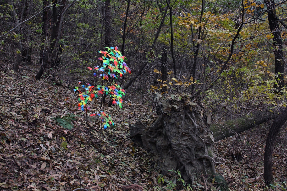 Michael Anthony Simon | Fluorescent Spider Web Sculptures - THE FIBER ...