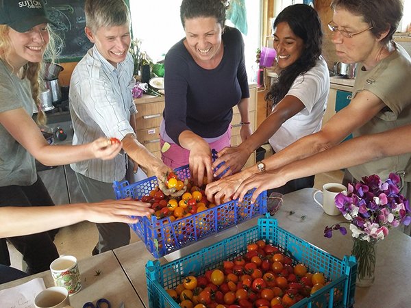 Why You Should Buy Shares In Sutton Community Farm