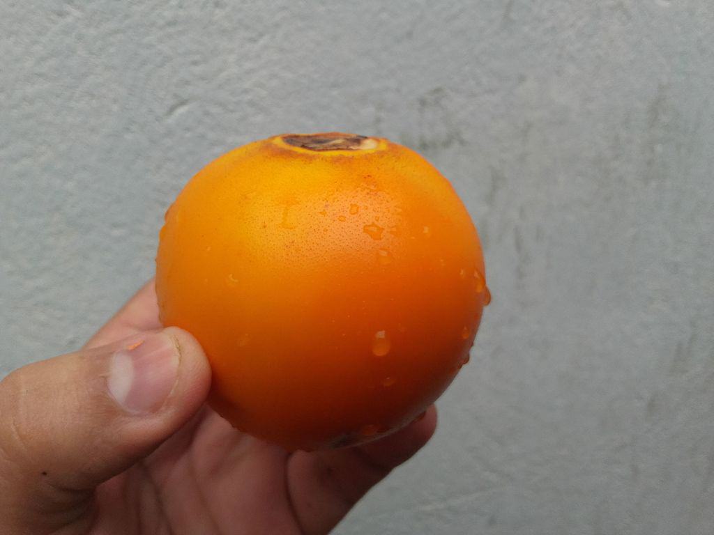 Lulo Fruit (Naranjilla)- Essential Guide To A Weird Exotic Fruit