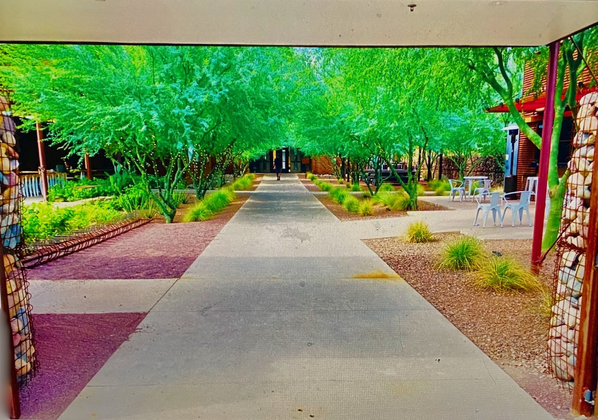 Ocotillo Restaurant in Phoenix AZ is Always Worth a Fork! | TheForkingTruth