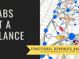Functional Genetics Analysis The Functional Perspective
