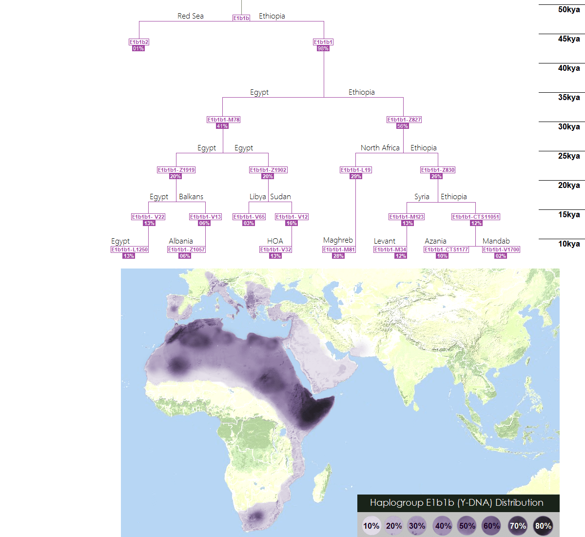 Hitler’s DNA | AARON HILL’S NOTEBOOK
