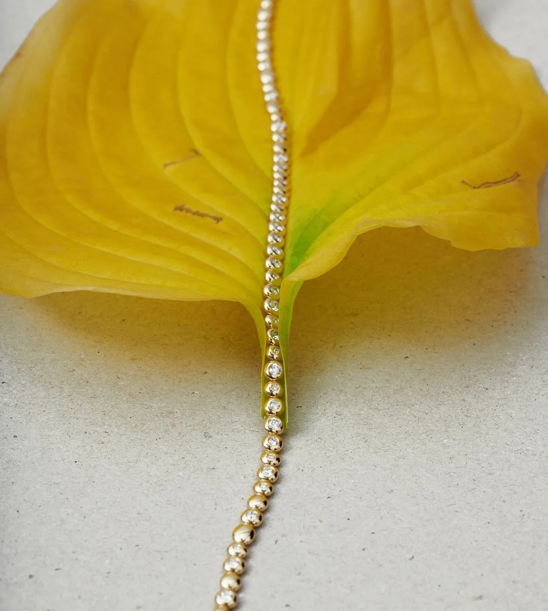 Dragons Den Kimaï Founders Interview The Go To