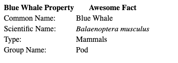 How To Create An HTML Project For Beginners (guided tutorial) - The ...
