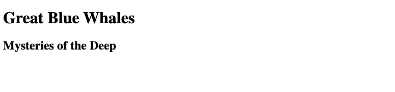 How To Create An HTML Project For Beginners (guided tutorial) - The ...