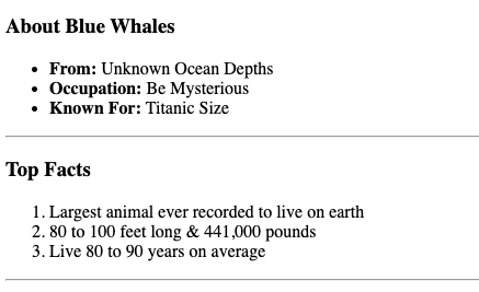 How To Create An HTML Project For Beginners (guided tutorial) - The ...