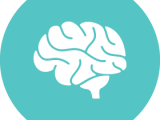 Cortex Neurons Documentation