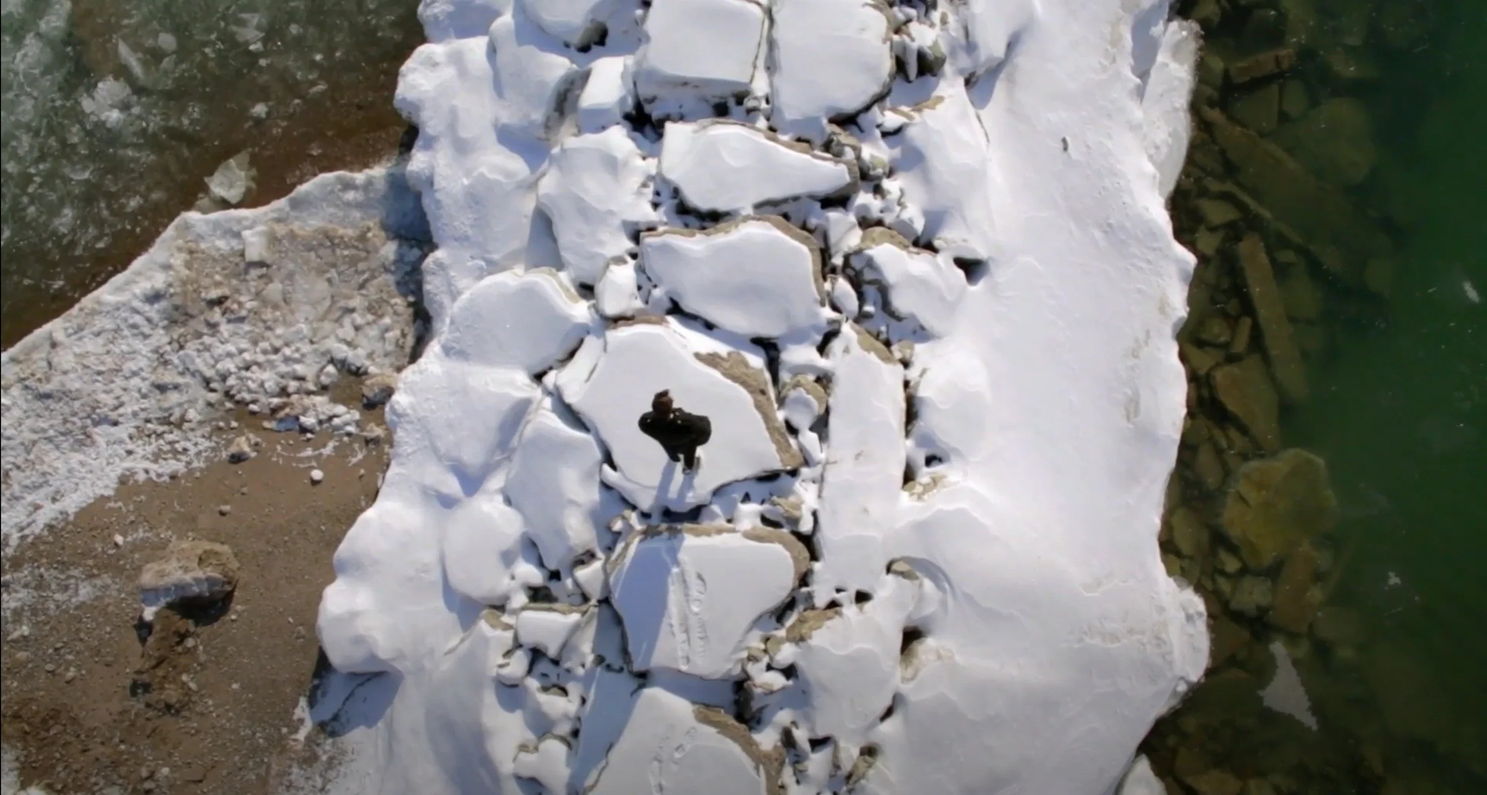 The Divided Brain The Impact Series