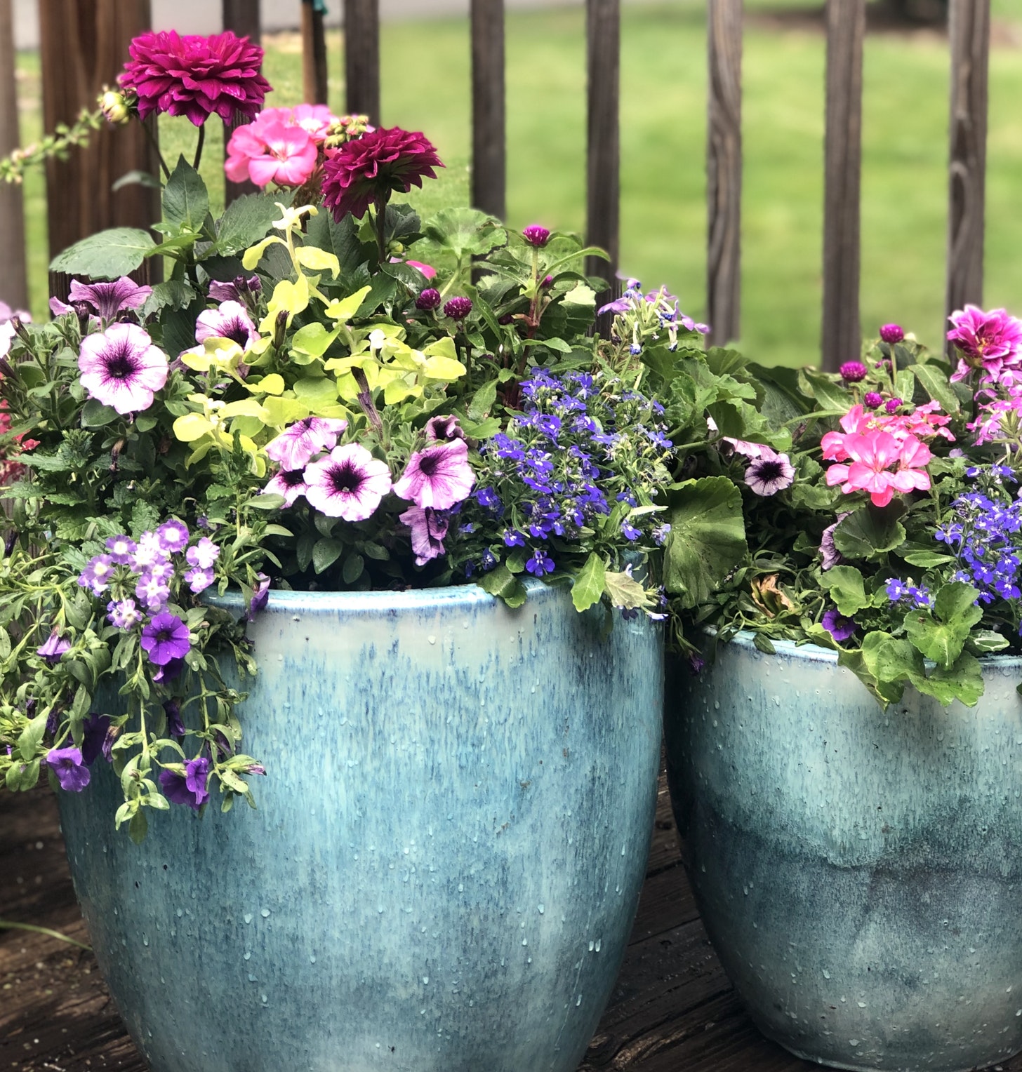Spectacular Summer Containers - The Inspired Garden