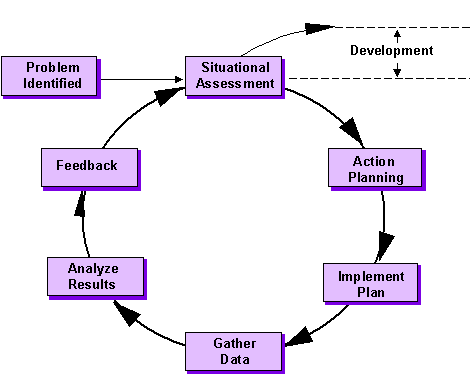 Managing the Organization Development Process