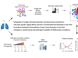 An Atlas Of The Aging Lung Mapped By Single Cell Transcriptomics And
