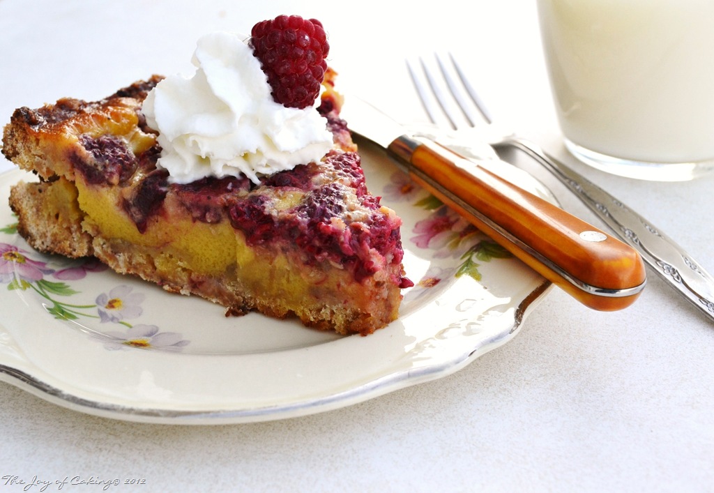 Red Raspberry Custard Pie with Vanilla Crumb Crust - The Joy of Caking