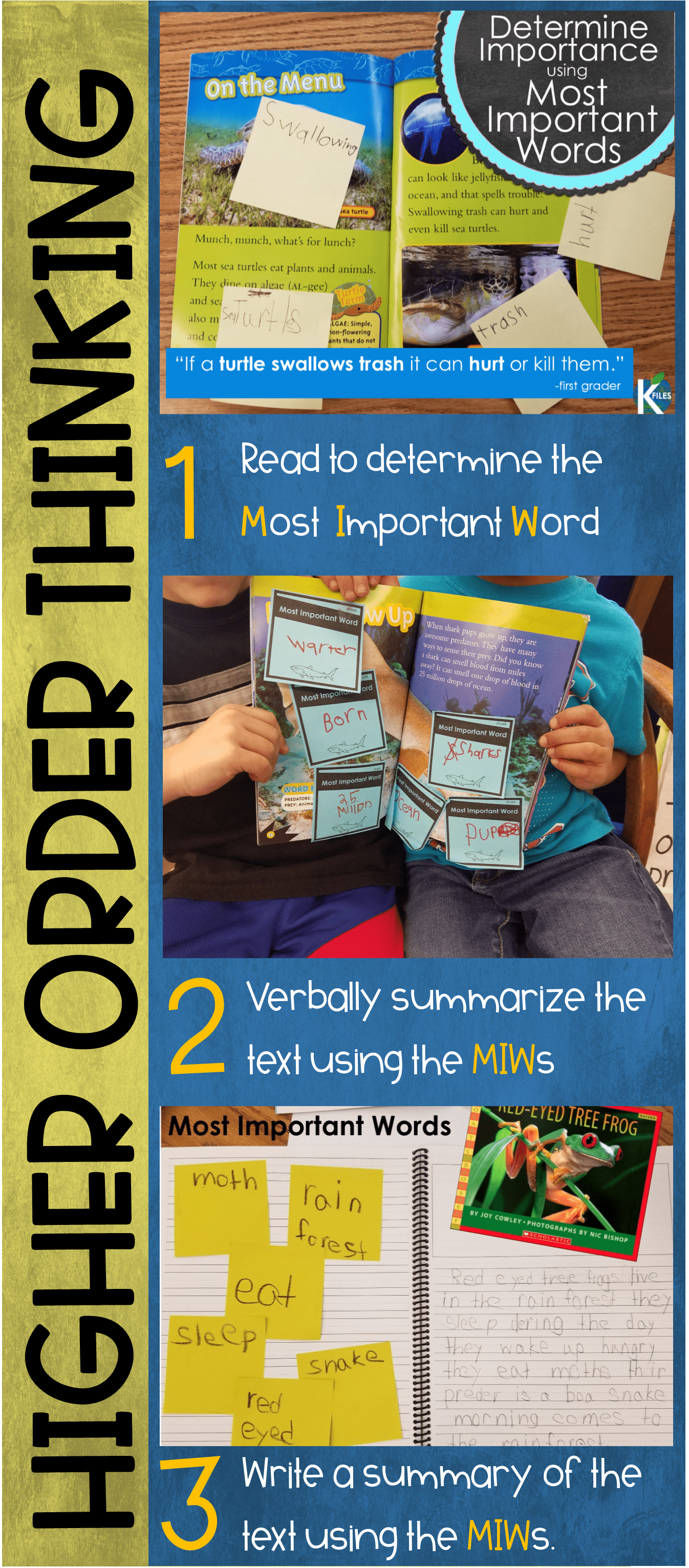 Ocean Life: Nonfiction Reading and Writing Unit (Determine Importance ...