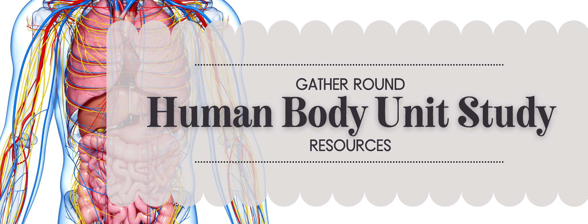 Gather Round Homeschool: Human Body - Free Organization to Save Time ...